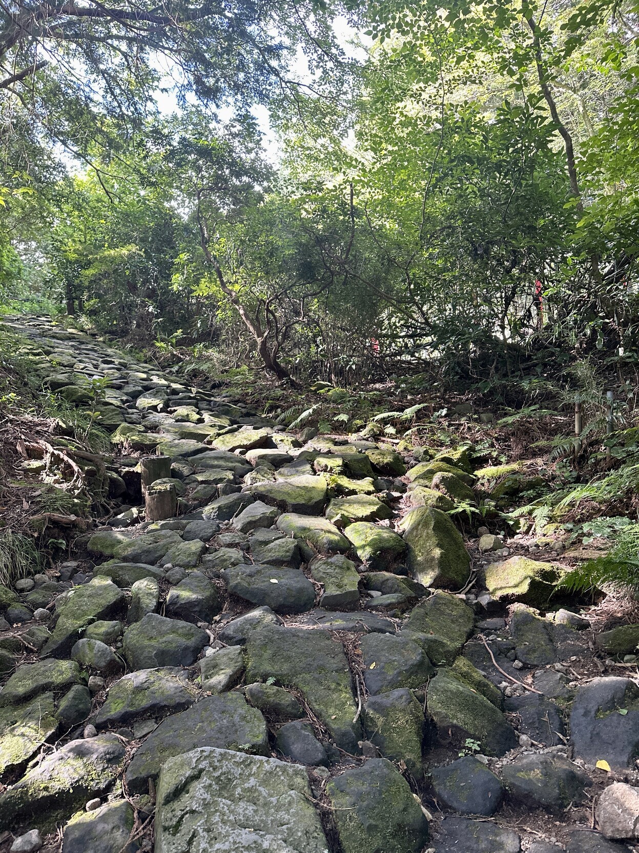 Rick Cogley 🥾 (@rickcogley@famichiki.jp) - Famichiki