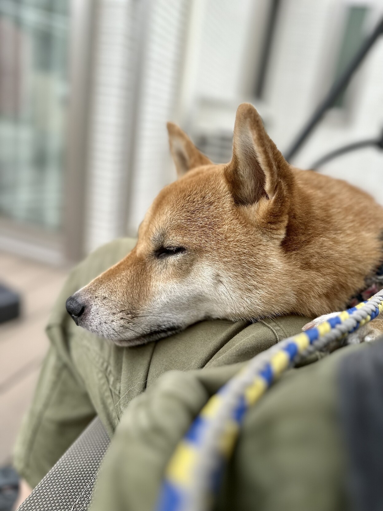 Rick Cogley 🥾 (@rickcogley@famichiki.jp) - Famichiki