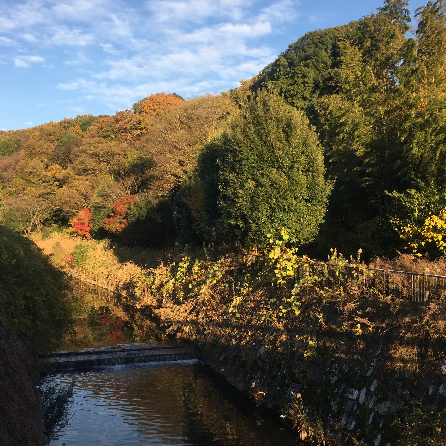 Rick Cogley 🥾 (@rickcogley@famichiki.jp) - Famichiki