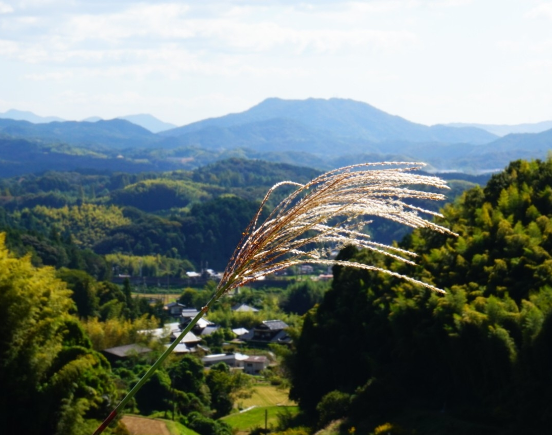 Jim in Yamaguchi :yamaguchi:: "Autumn in the mountains. #Japan # ...